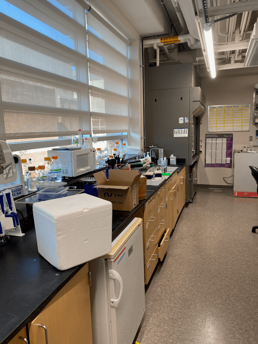 The Berger Lab @ UVA