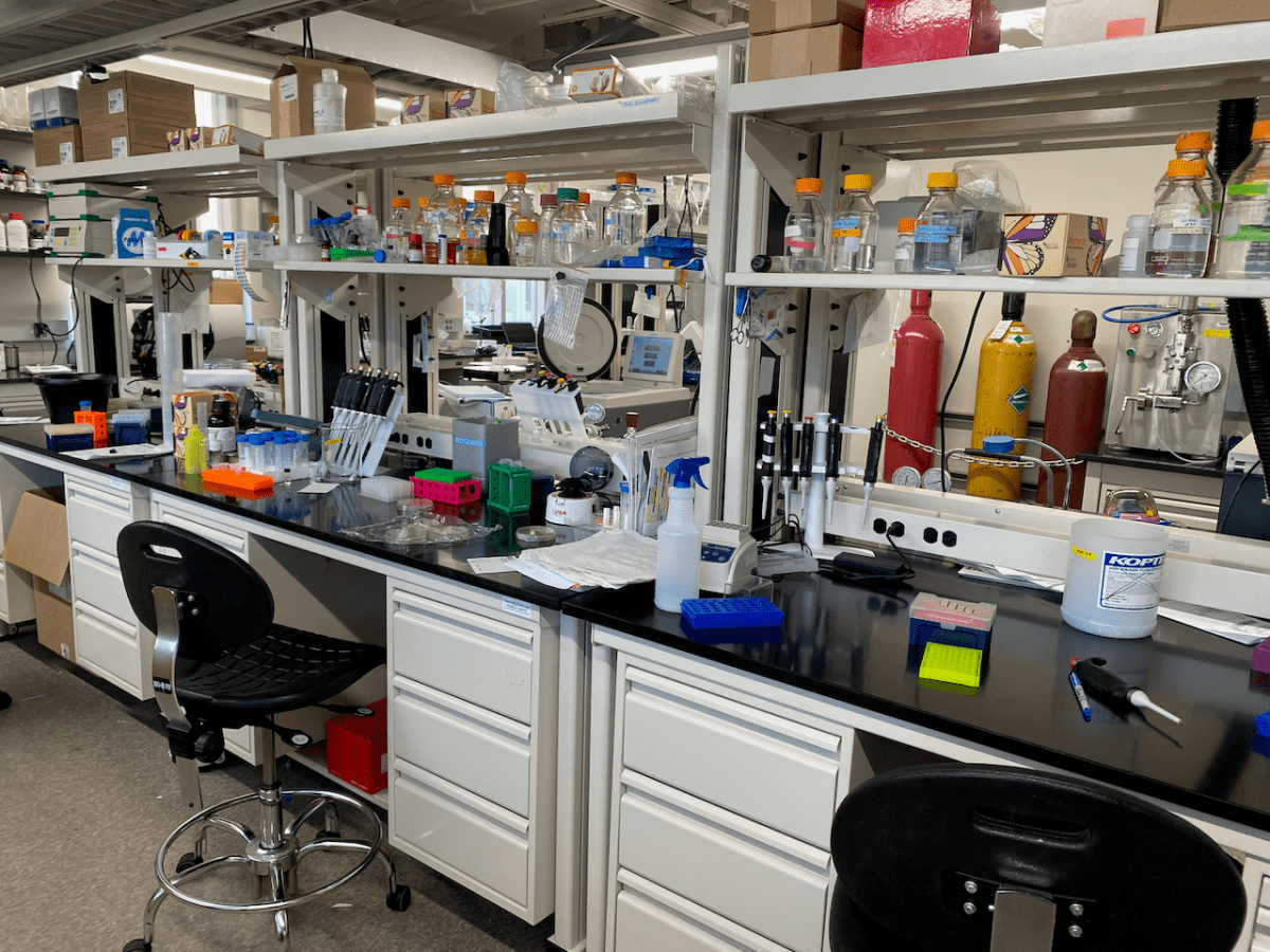 The Berger Lab @ UVA