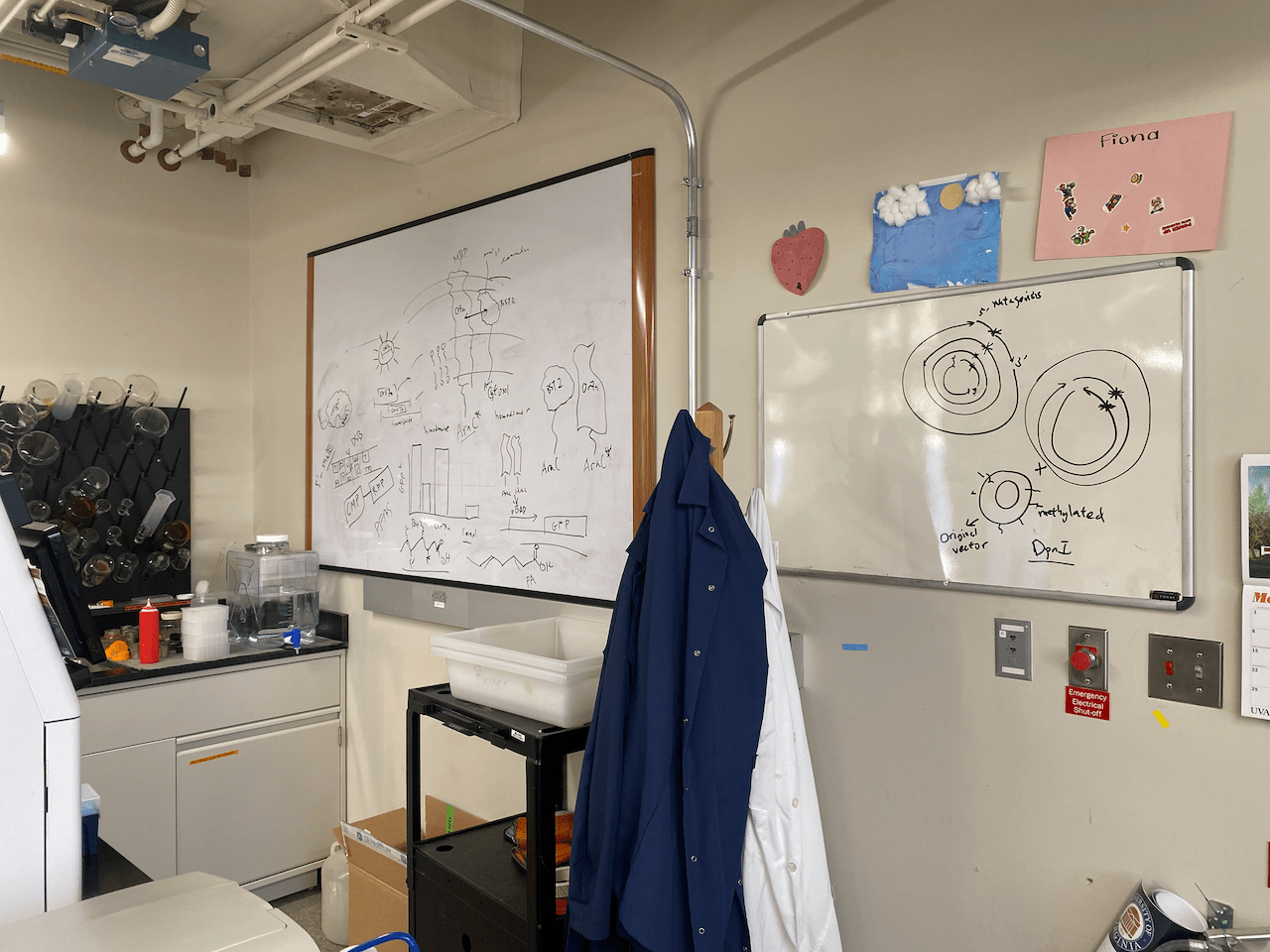 The Berger Lab @ UVA