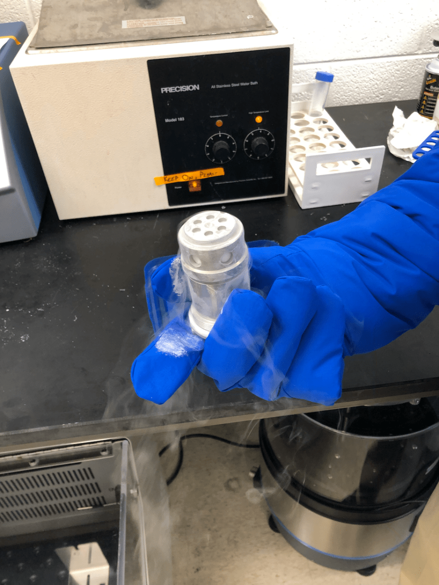 The Berger Lab @ UVA