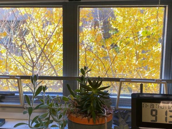 The Berger Lab @ UVA