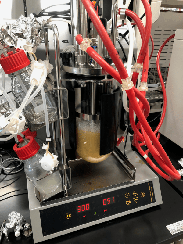 The Berger Lab @ UVA