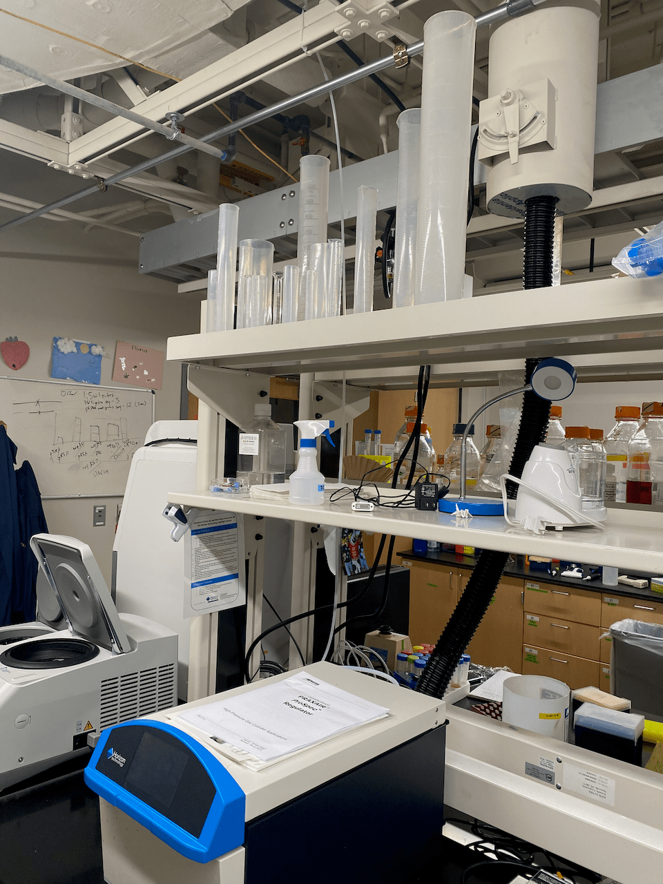 The Berger Lab @ UVA